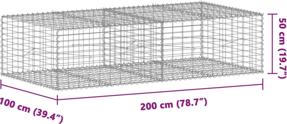 Gabionový koš s víkem 200 x 100 x 50 cm pozinkované železo 3295179