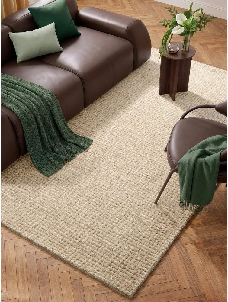 Vlněný koberec v přírodní barvě 160x230 cm Eloise – Hanse Home