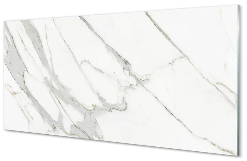 Skleněný panel Marble kámen skvrny 100x50 cm