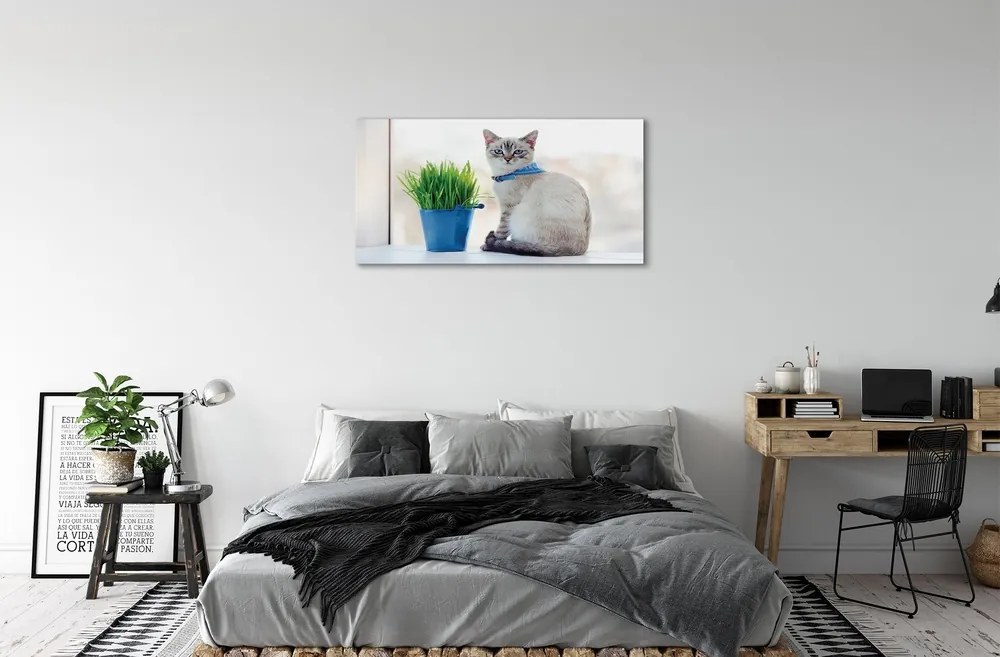 Obraz na skle sedící kočka 120x60 cm