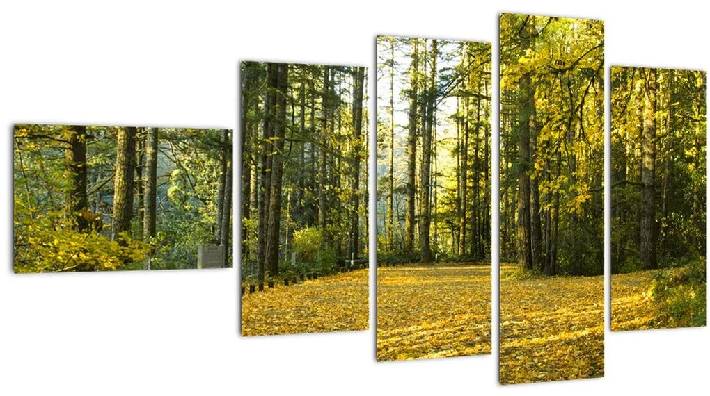 Obraz - les na podzim (110x60 cm), 40 dalších rozměrů