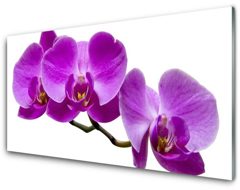 Obraz na skle Květiny 120x60 cm