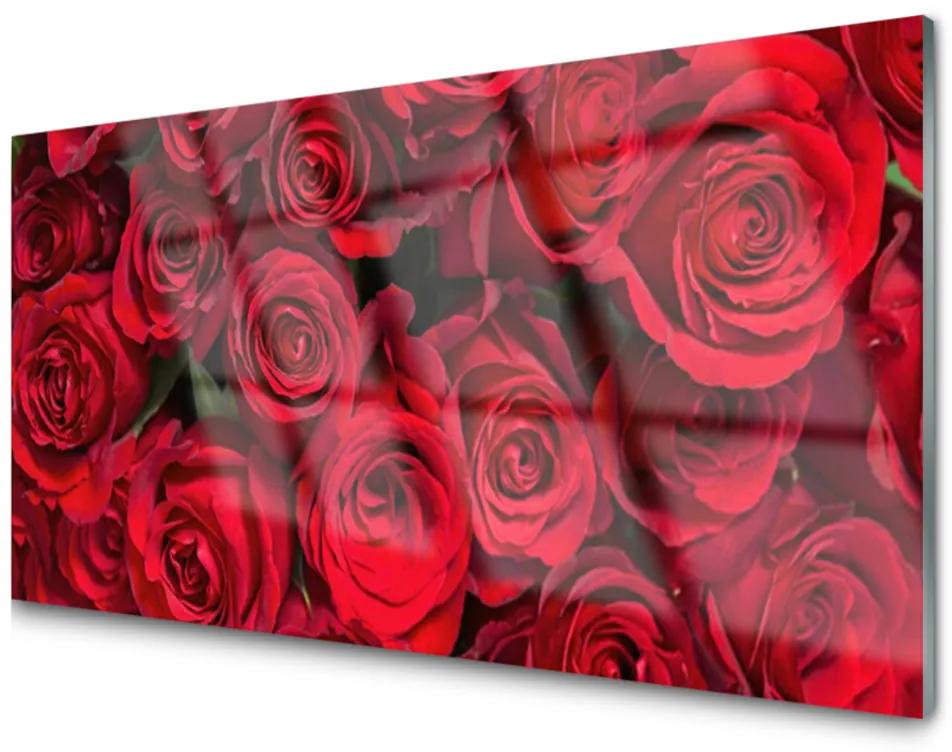 Skleněný obraz Červené Růže Květiny Příroda