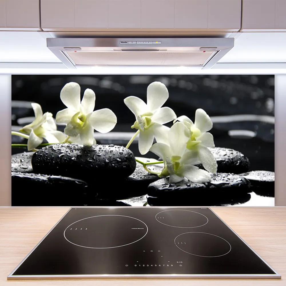 Kuchyňský skleněný panel Květ Kameny Rostlina 140x70 cm