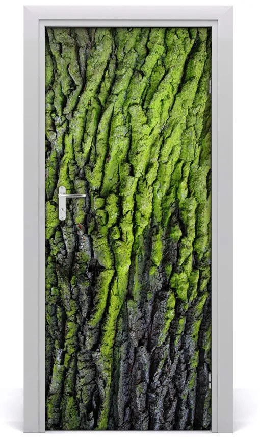 Fototapeta samolepící Kůra stromu 75x205 cm