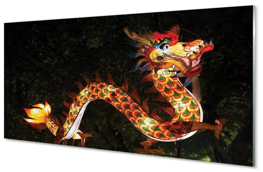 Obraz na skle Japonský drak osvětlené 120x60 cm