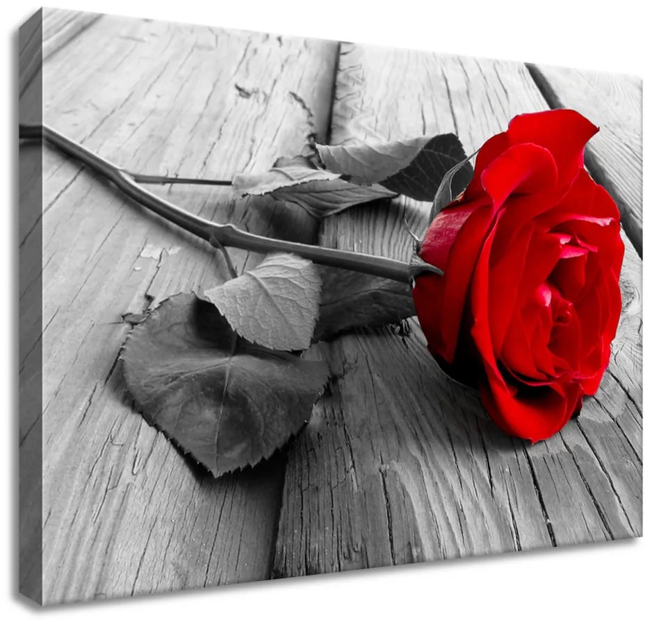 Gario Obraz na plátně Červená růže Velikost: 40 x 30 cm