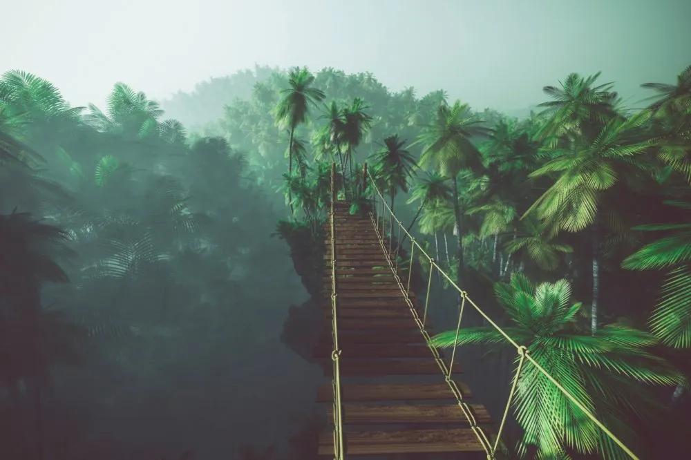 Vícedílný obraz Lanový Most V Džungli 3D Nedostatek Nedostatek Přírodní plátno 150x100