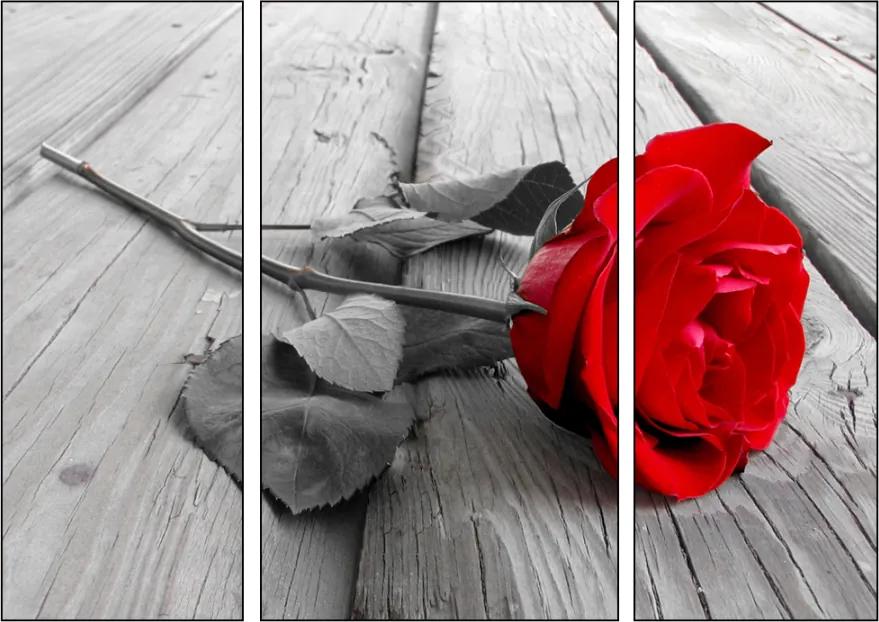 Obraz třídílný 100 x 50 cm červená růže
