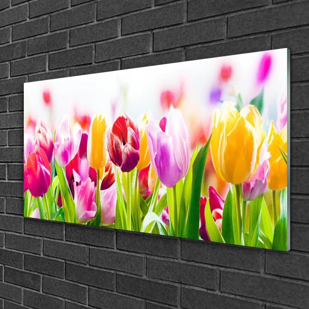 Obraz na skle Tulipány Květiny 100x50 cm