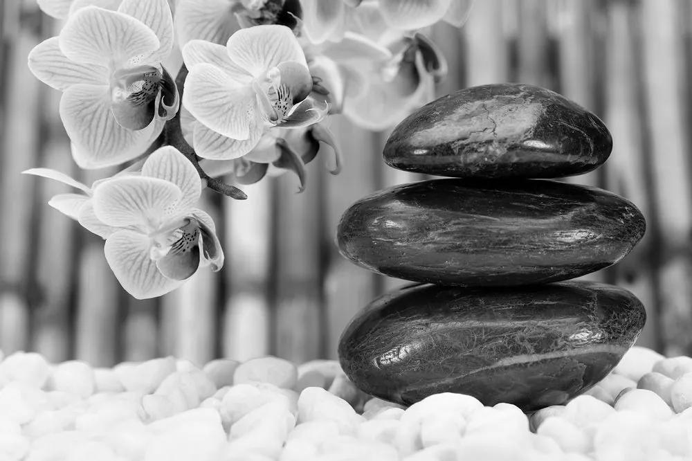 Fototapeta japonská Zen zahrada černobílá - 450x300 cm