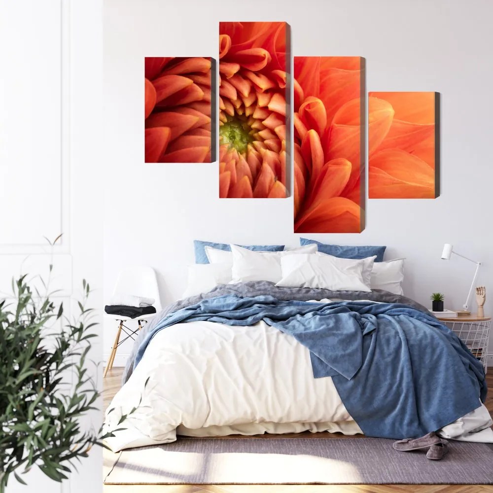 Vícedílný obraz Oranžová Chryzantéma V Makro Měřítku Nedostatek Nedostatek Plátno Canvas 160x100