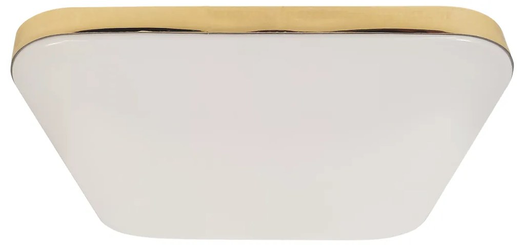 Stropní LED svítidlo Nemo, 1x LED 17w, 4000k, g