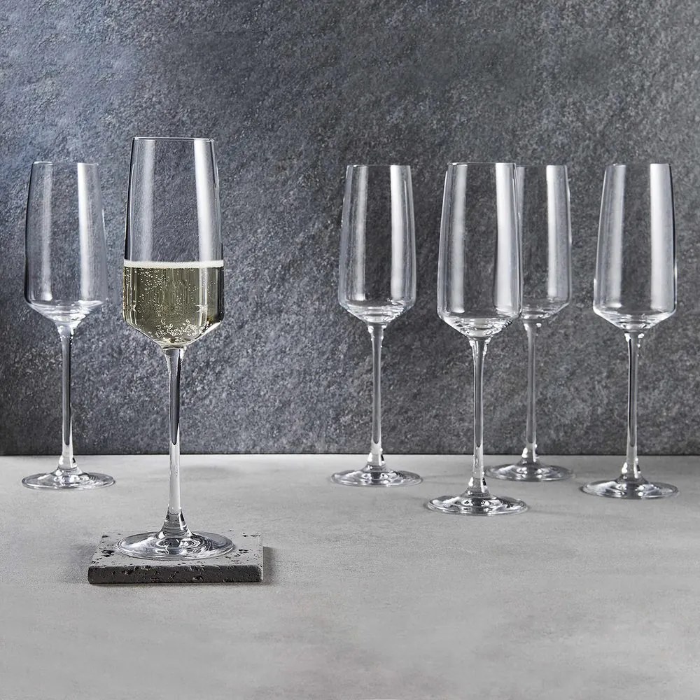 WINE & DINE Sklenice na šampaňské 250 ml