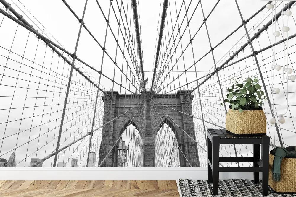 Fototapeta Brooklyn Bridge Ny Strukturální vinyl 300x210