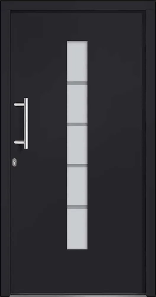 Vchodové dveře hliník a PVC antracitové 110 x 210 cm 3056817
