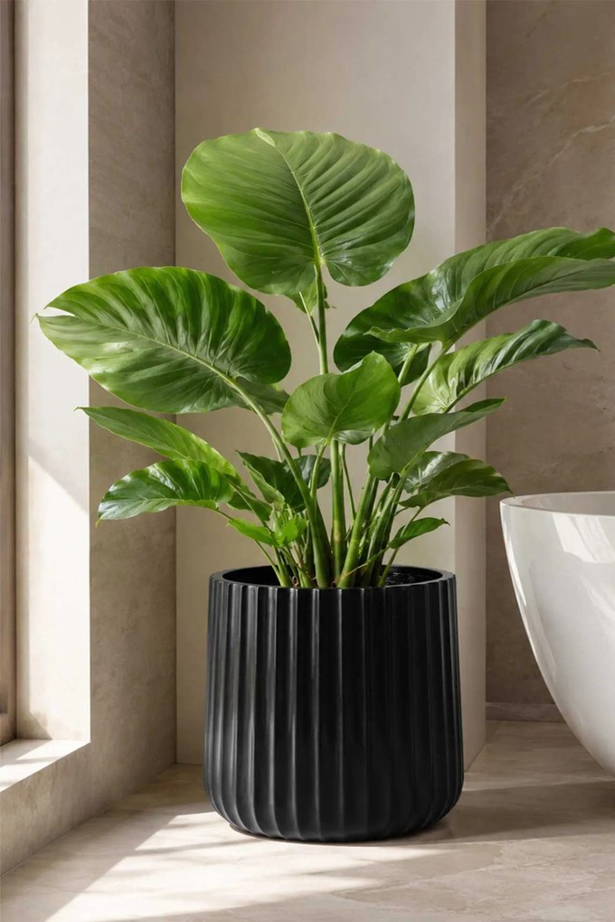 Designový květináč VEKRA , sklolaminát, výška 40 cm, černá