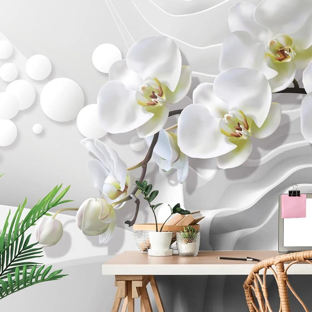 Tapeta orchidej na abstraktním pozadí - 300x200