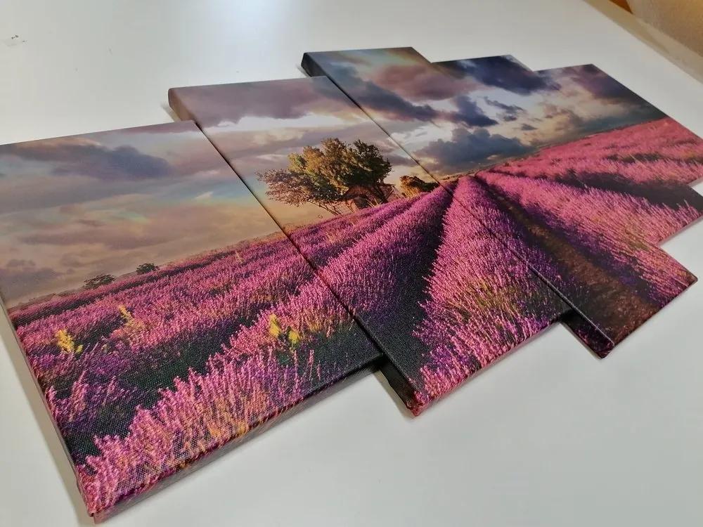 5-dílný obraz země levandulových polí - 200x100 cm