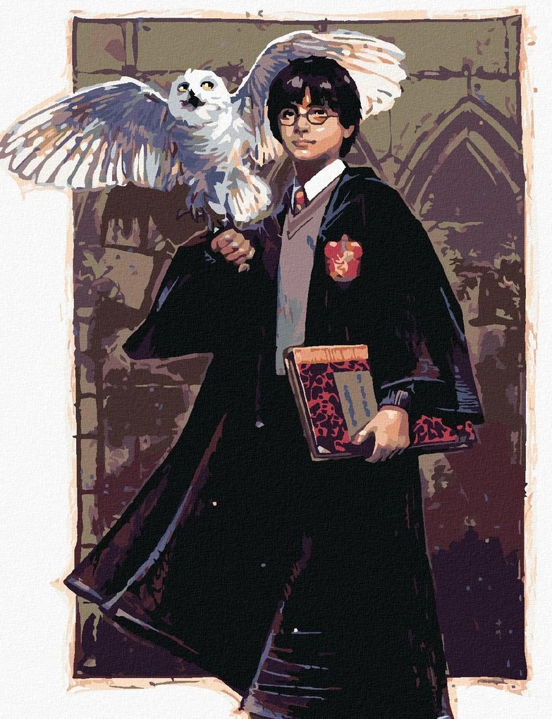 Zuty - harry potter a hedvika v bradavicích, 40×50 cm, bez rámu a bez vypnutí plátna