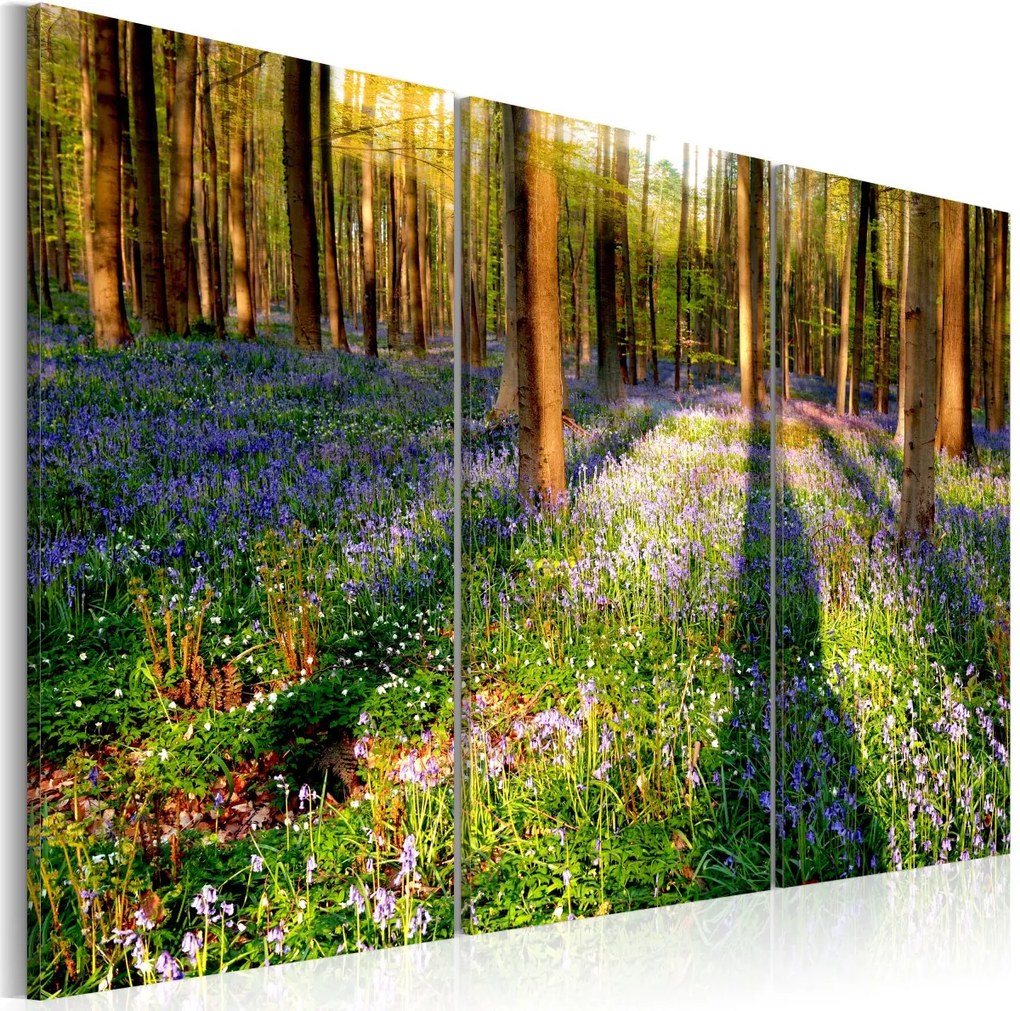 Třídílné obrazy - klid v lese (150x100 cm) - Murando DeLuxe