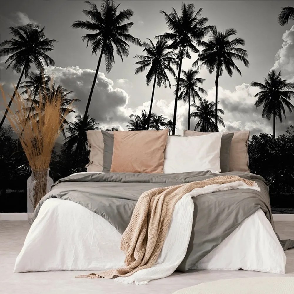 Samolepící tapeta kokosové palmy na pláži v černobílém - 300x200 cm