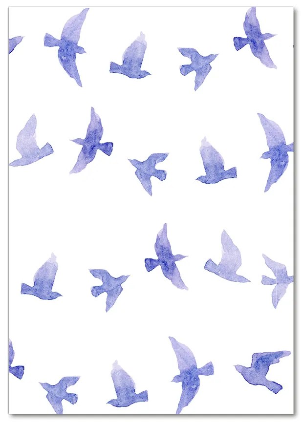 Wallmuralia Foto obraz akrylový Modré vlaštovky 70x100 cm