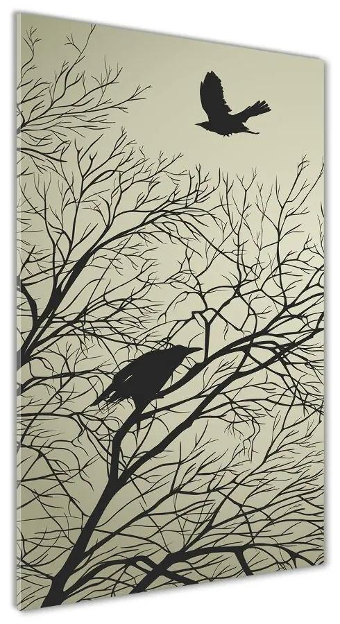 Wallmuralia Vertikální Foto obraz skleněný svislý Vrány na stromě 50x100