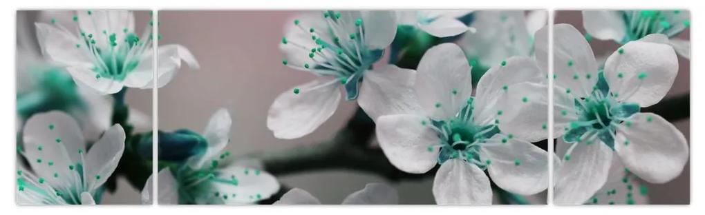 Obraz květu - tyrkysové (170x50 cm)