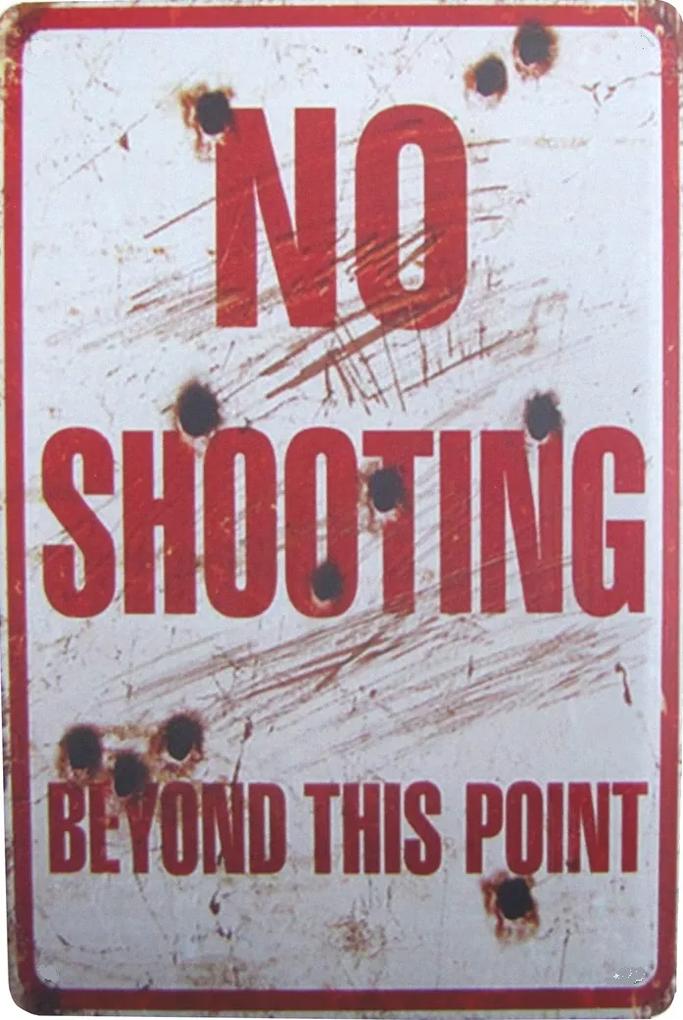 Plechová cedule No Shooting Velikost: A4 (30 x 20 cm)