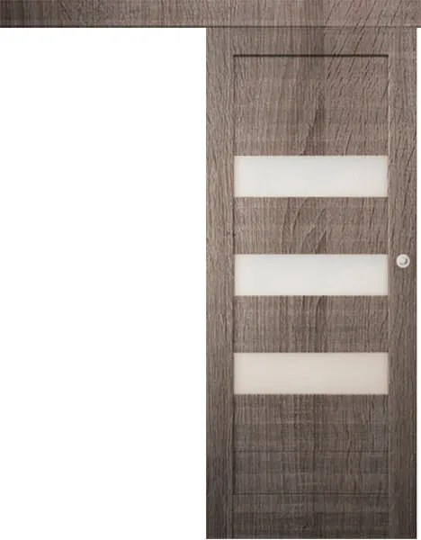 posuvné interiérové dveře na stěnu vasco doors SANTIAGO model 6 Průchozí rozměr: 70 x 197 cm, Orientace dveří: Levé dveře, Dekor: Bílá