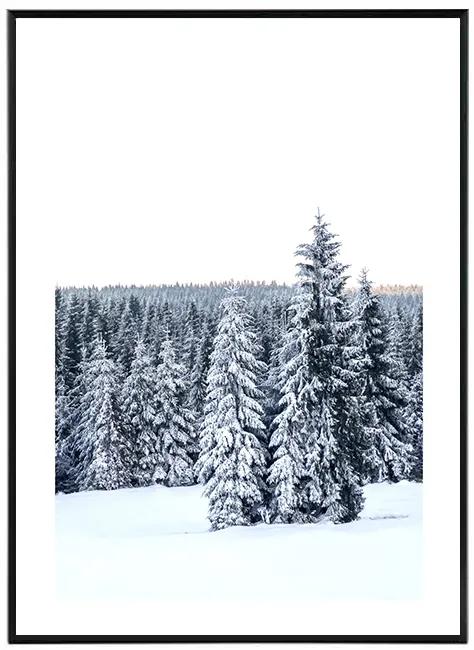 Nordic - 50x70 cm Obraz