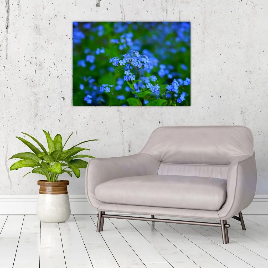 Skleněný obraz modrých květin (70x50 cm)