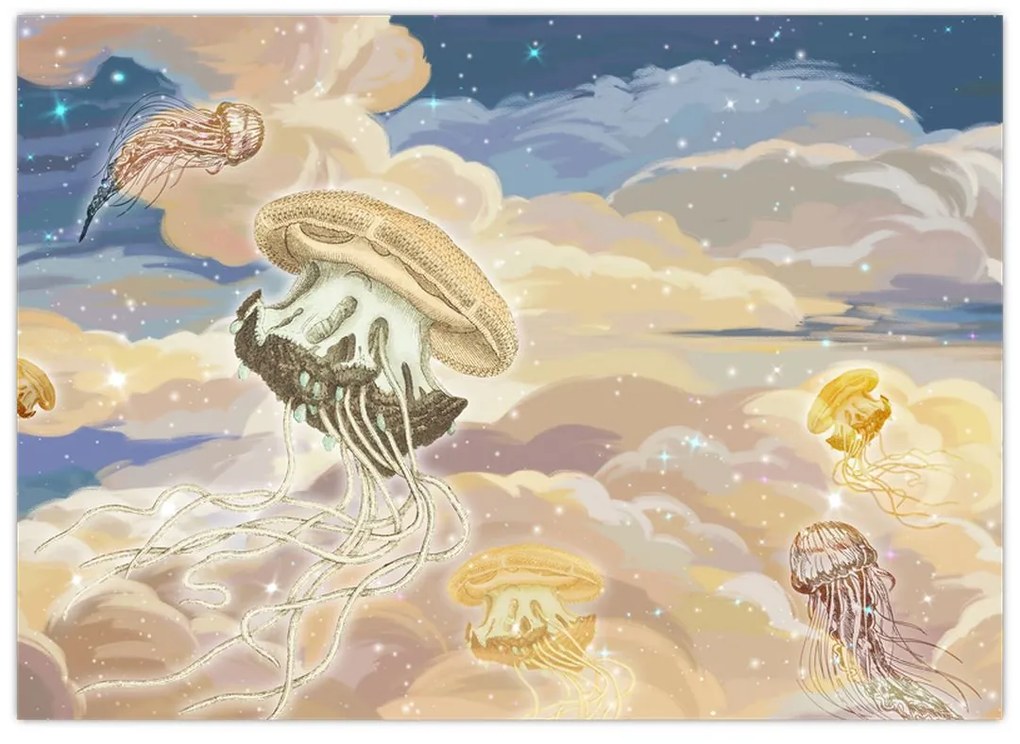 Skleněný obraz - Nebeské medůzy (70x50 cm)