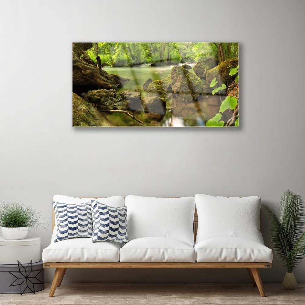 Obraz na skle Skála Jezero Příroda 140x70 cm