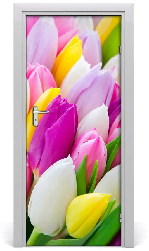 Samolepící fototapeta na dveře barevné tulipány 75x205 cm