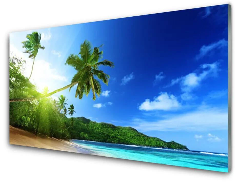 Obraz na skle Pláž Moře Palma Krajina 100x50 cm