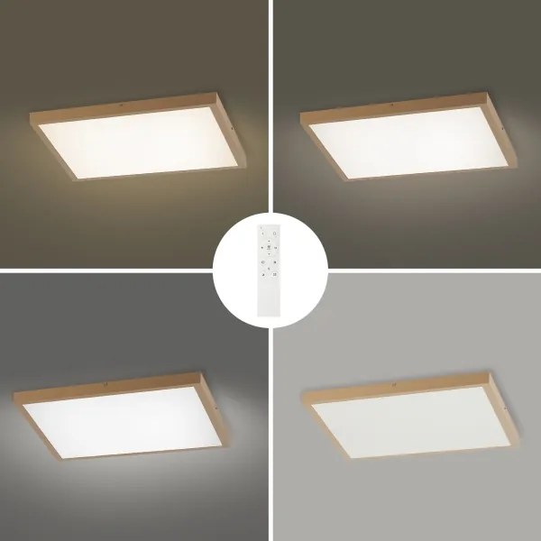 Brilagi -LED Stmív. koupelnové svítidlo FRAME SMART LED/50W/230V 60x60 IP44 + DO