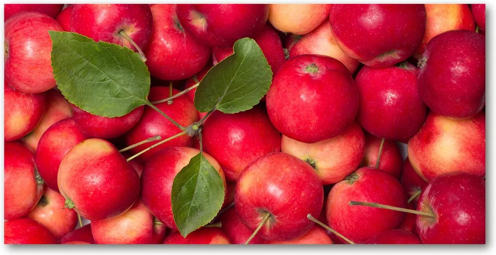 Foto obraz akrylový Červené jablko