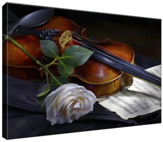 Obraz na plátně Housle a bílá růže 30x20cm 2349A_1T