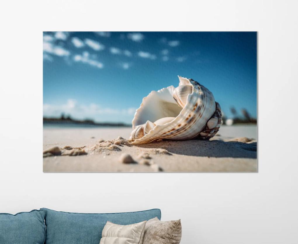 Obraz na plátně - mušle na písečné pláži FeelHappy.cz Velikost obrazu: 180 x 120 cm