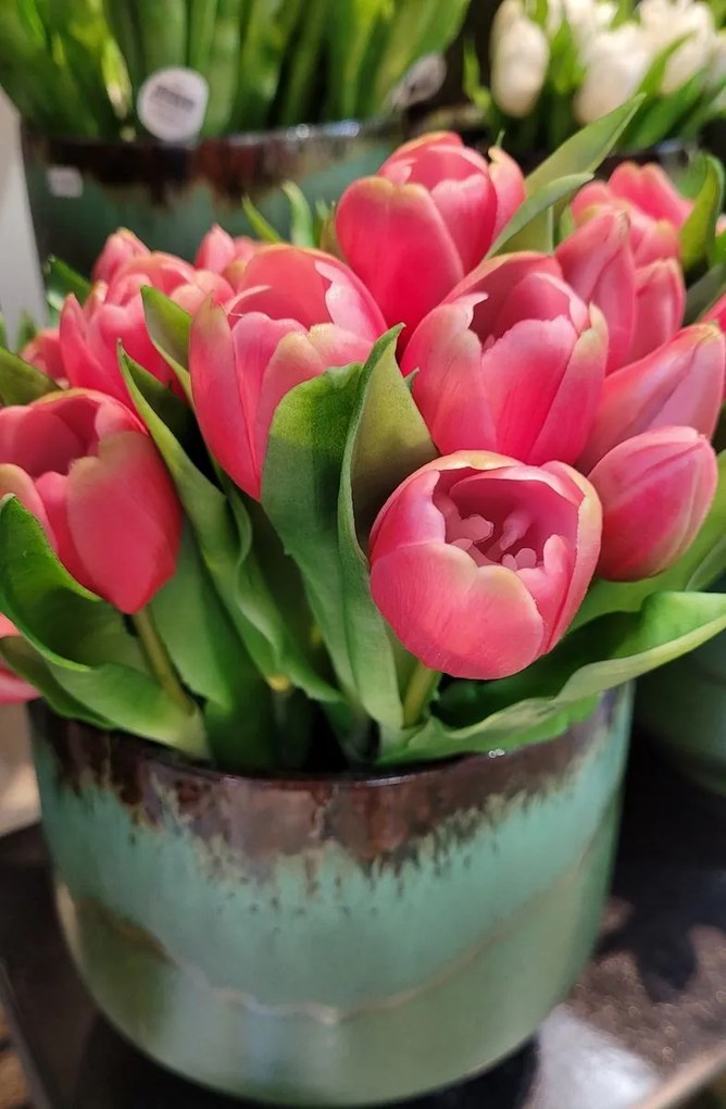 Kytice 7ks tmavě růžových realistických tulipánů Tulips - 31cm