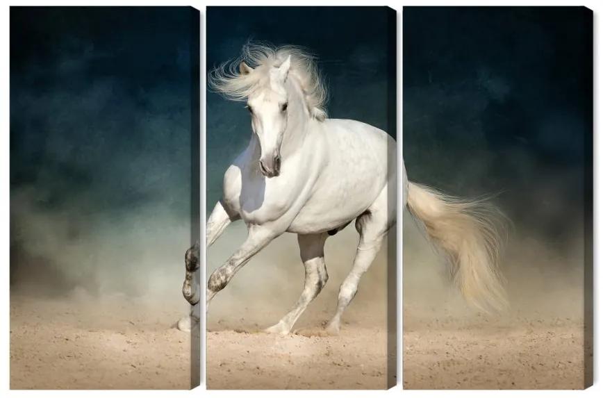 Vícedílný obraz Bílý Kůň Ve Cvalu Nedostatek Nedostatek Plátno Canvas 150x100