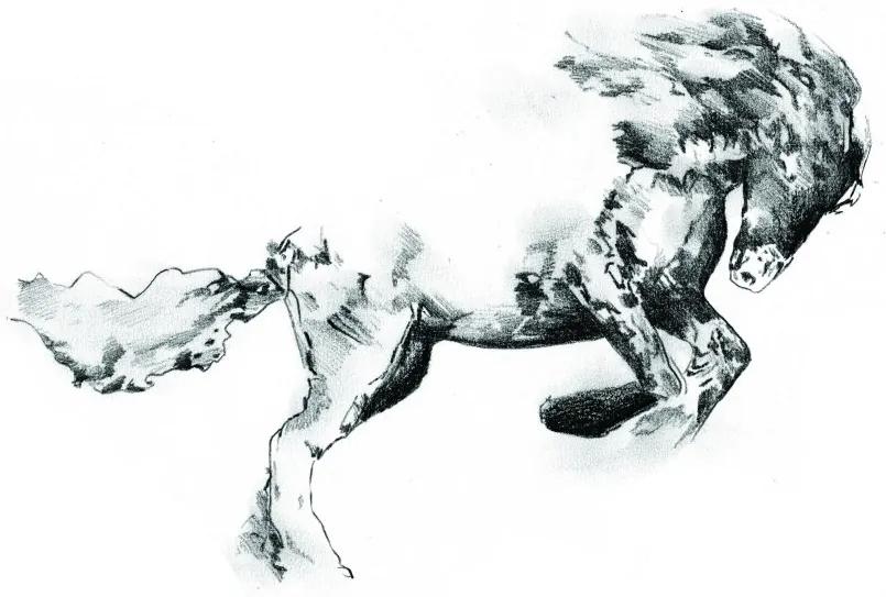 Obraz Kůň Jak Načrtnut Nedostatek Nedostatek Plátno Canvas 100x70