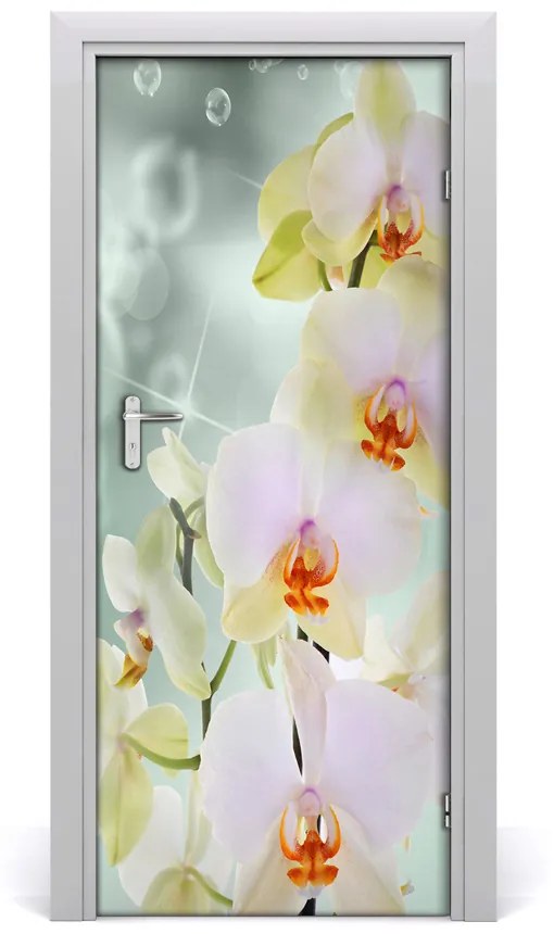 Fototapeta samolepící Orchidej 75x205 cm