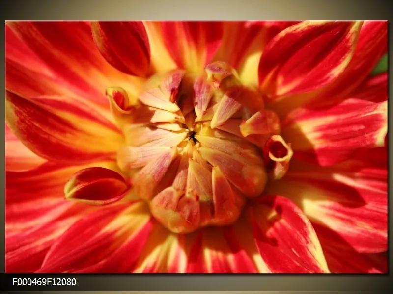 Obraz na plátně Červeno žlutý květ, Obdélník 120x80cm 2198 Kč