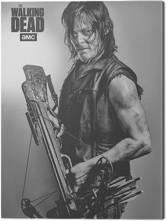Obraz na plátně The Walking Dead - Daryl, (60 x 80 cm) | BIANO