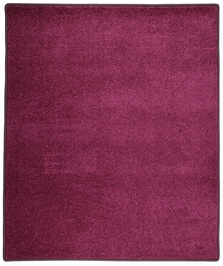 Vopi, Kusový koberec Eton fialový 48, 50x80, fialová, chodba / předsíň