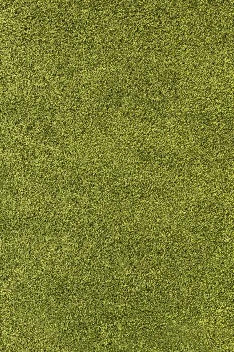 Chlupatý kusový koberec Life Shaggy 1500 zelený Typ: 200x290 cm