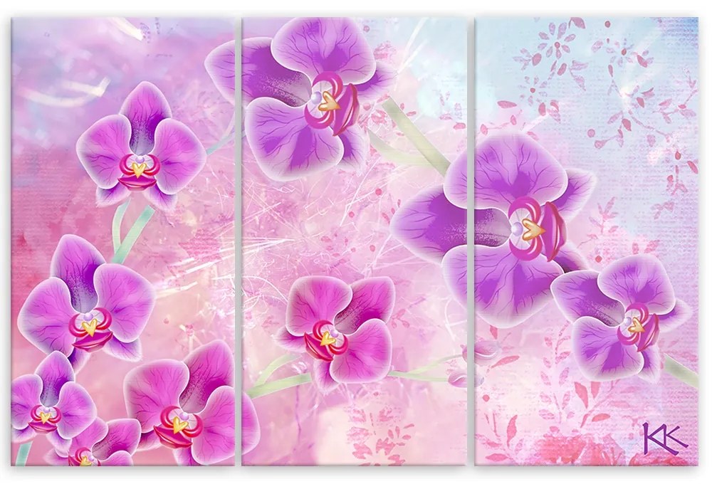 Obraz na plátně třídílný, Abstrakce orchidejí - 150x100 cm